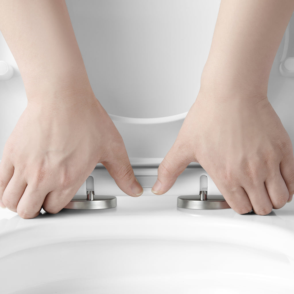 Kane One-Piece Elongated Toilet – Ren Selections